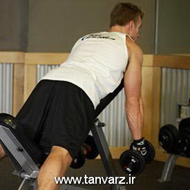 شراگ با دمبل روی میز شیب‌ دار (Middle Back Shrug) - تن ورز