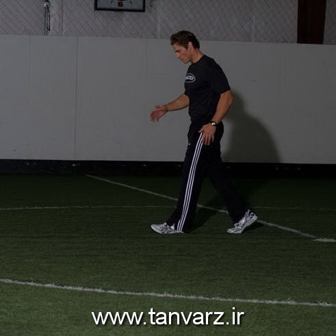 آموزش حرکت روی پنجه | حرکت تمرینی Moving Claw Series - تن ورز